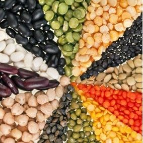 Dal - Beans – JFK Grocery Inc.