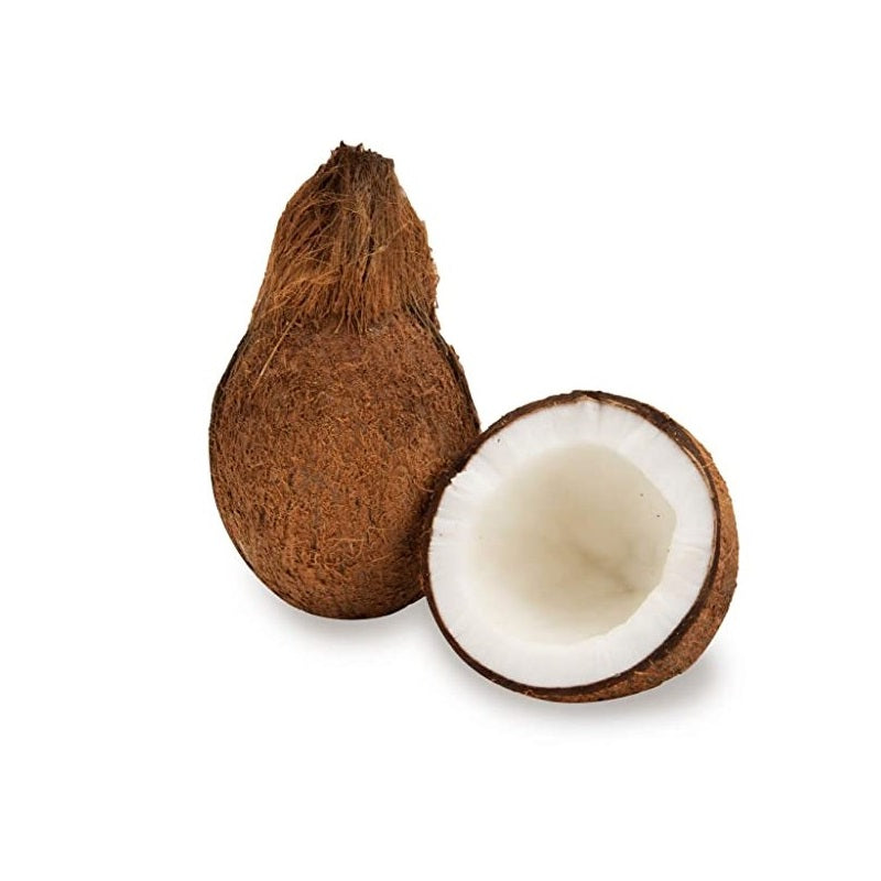 Coconut Whole (Pooja Coconut) Each – JFK Grocery Inc.